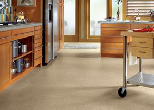 Commercial & Residential Flooring in Denver - PRO! Flooring